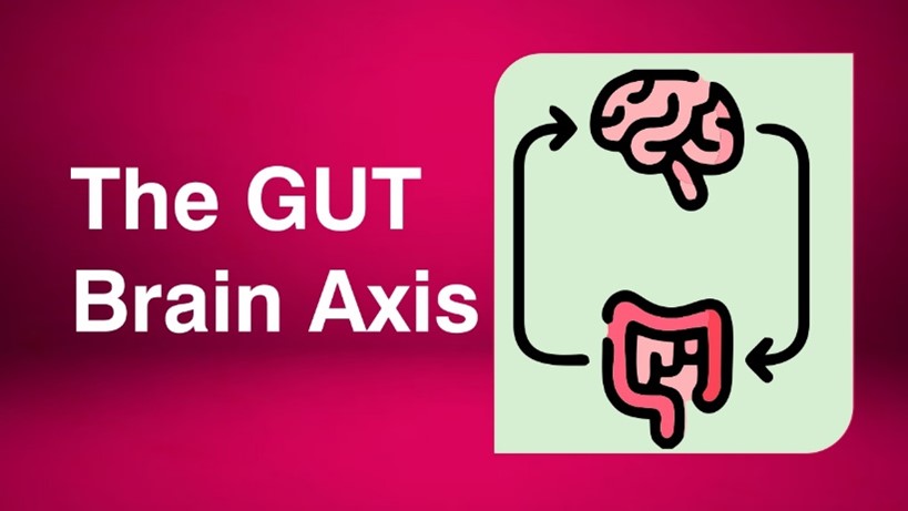 The GUT Brain Axis | SAKSHAM LMIS - NIHFW